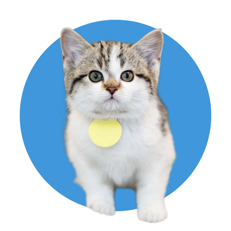 About Us – Wisconsin Humane Society